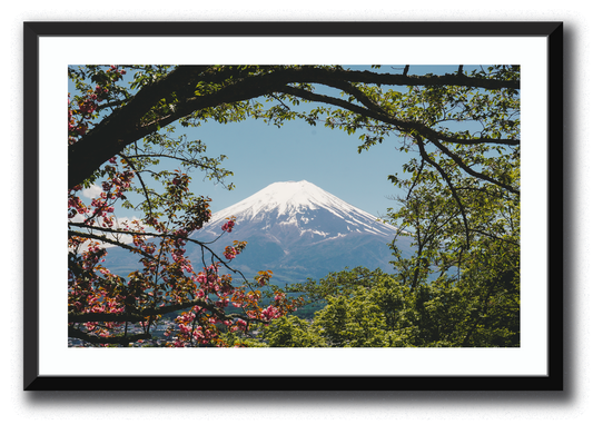 WhiteCrown.png?v=1744994540& WhiteCrown.png?v=1744994540&